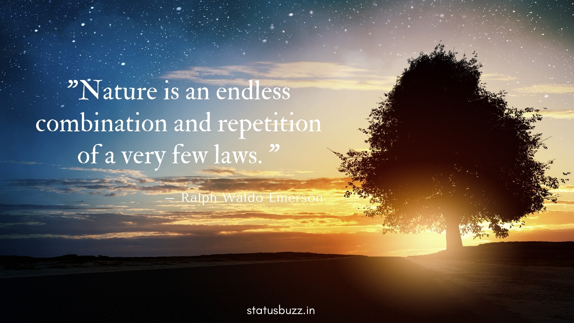 65+ Best Nature Quotes For Nature Lovers | StatusBuzz