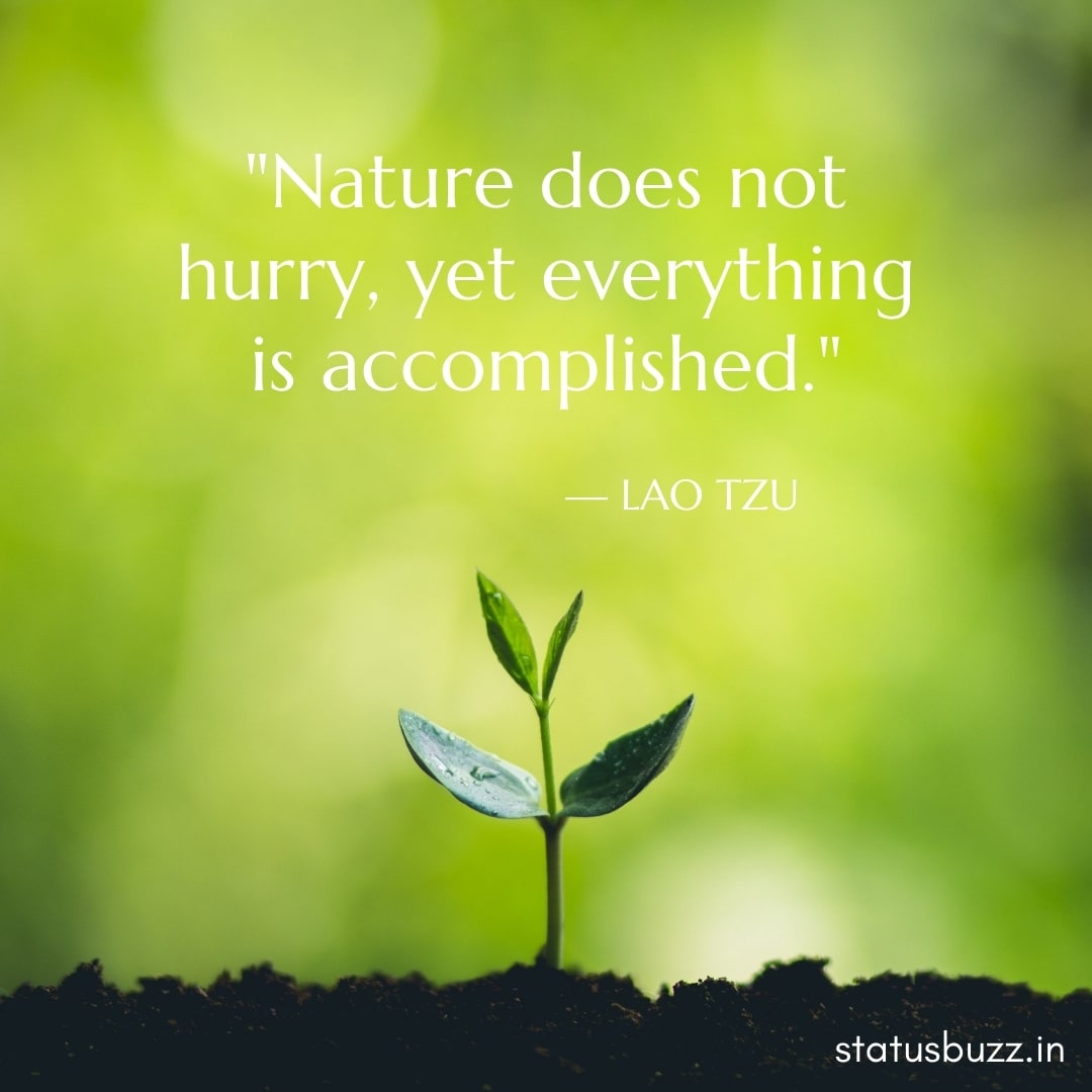65+ Best Nature Quotes For Nature Lovers | StatusBuzz