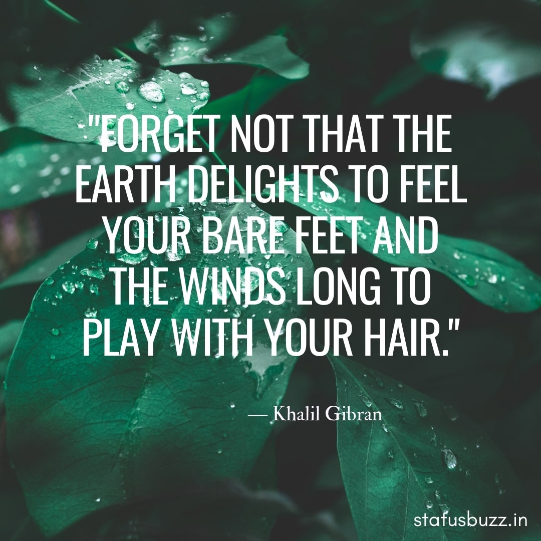 65+ Best Nature Quotes For Nature Lovers | StatusBuzz