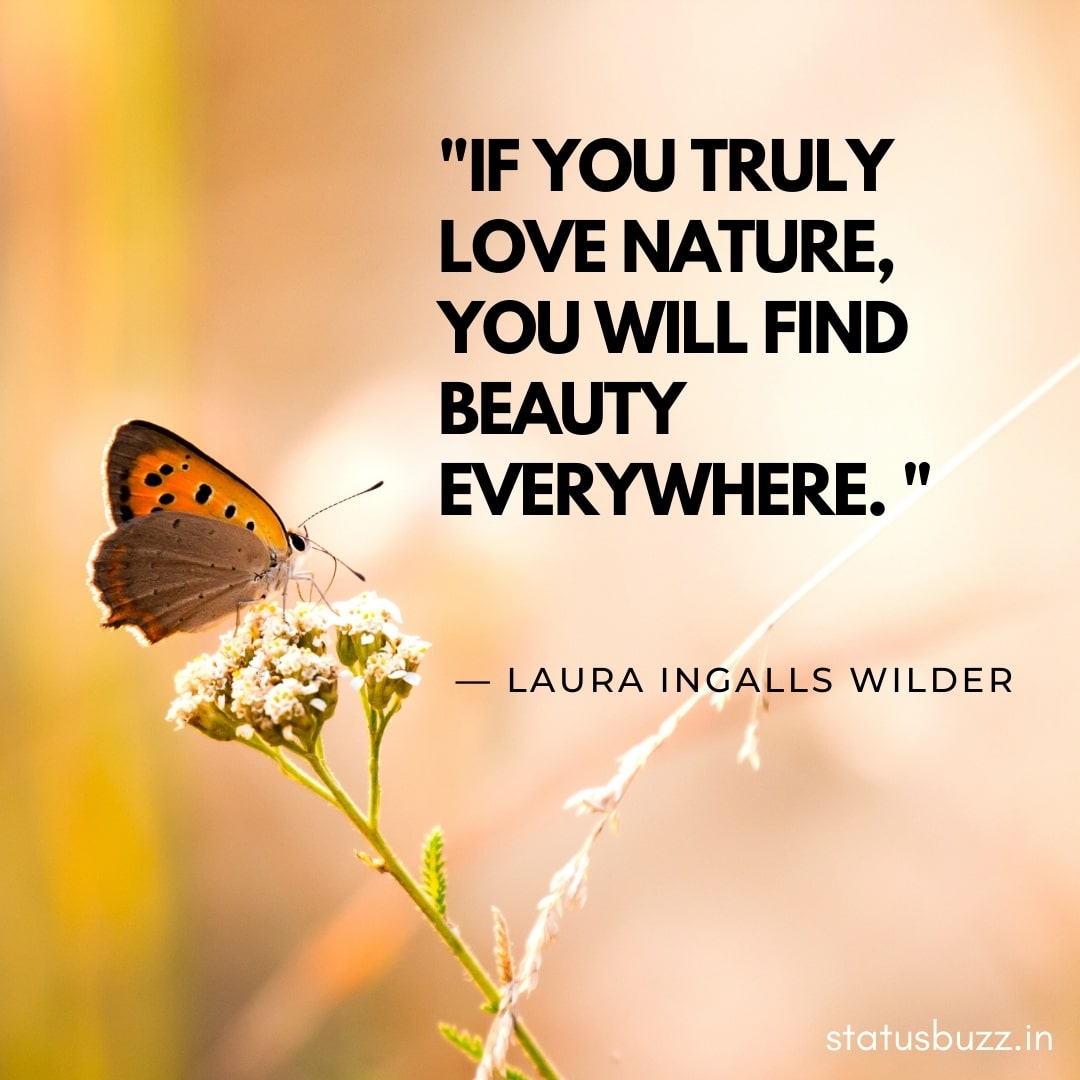 65+ Best Nature Quotes For Nature Lovers | StatusBuzz