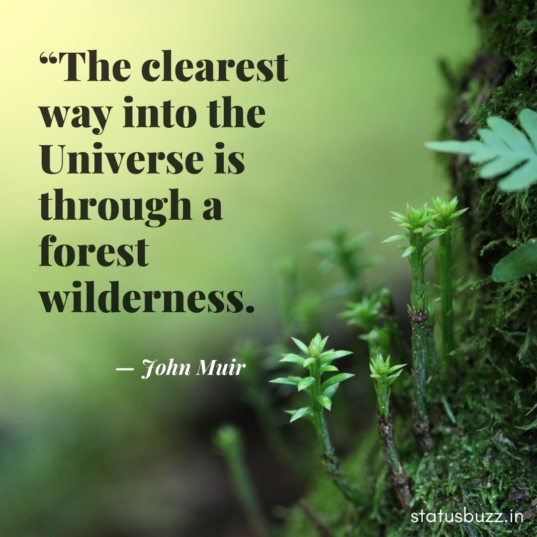 65+ Best Nature Quotes For Nature Lovers | StatusBuzz