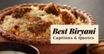 220+ Biryani Captions For Instagram | Biryani Quotes | Upd 2024