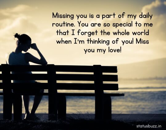 100+ Miss You Status & Quotes | StatusBuzz