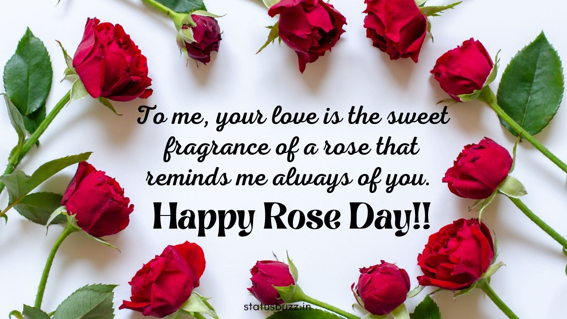 100+ Rose Day Wishes, Messages, Status & Greetings | StatusBuzz
