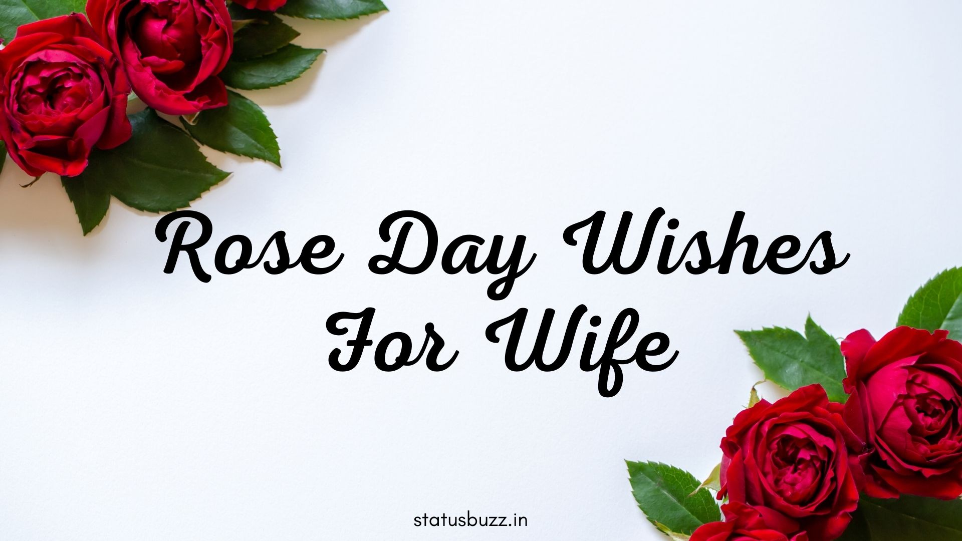 100+ Rose Day Wishes, Messages, Status & Greetings | StatusBuzz