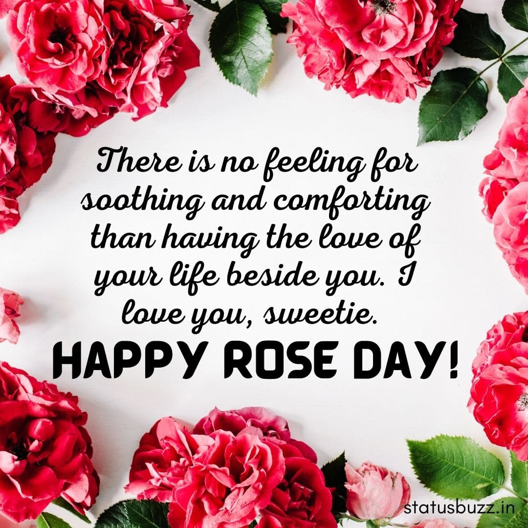 100+ Rose Day Wishes, Messages, Status & Greetings | StatusBuzz