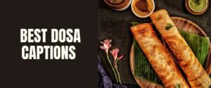 50 Best Dosa Quotes & Captions For Instagram | Updated 2023
