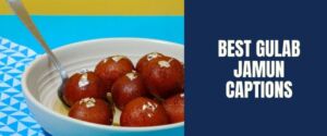 60+ Gulab Jamun Quotes & Captions For Instagram | Updated 2023