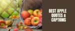 100+ Best Apple Quotes | Apple Captions Updated 2024