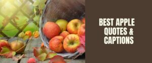 100+ Best Apple Quotes | Apple Captions Updated 2024