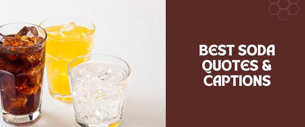 50+ Best Soda Captions For Instagram | Soda Quotes | Upd 2024