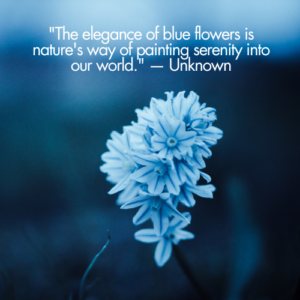 50+ Best Blue Flower Quotes | Blue Flower Captions | Upd 2024