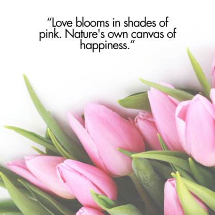 215+ Best Pink Flower Quotes | Pink Flower Captions | Upd 2024