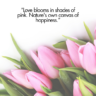 215+ Best Pink Flower Quotes | Pink Flower Captions | Upd 2024