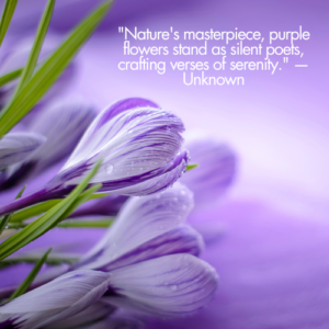 60+ Best Purple Flower Quotes & Captions | Upd 2024