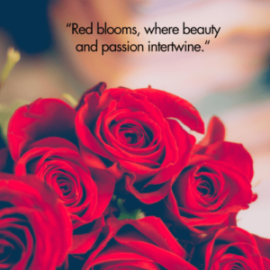 200+ Best Red Flower Quotes | Red Flower Captions | Upd 2024
