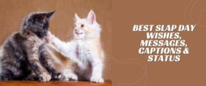 Slap Day 2024: 85+ Best Wishes, Messages, Status & Captions