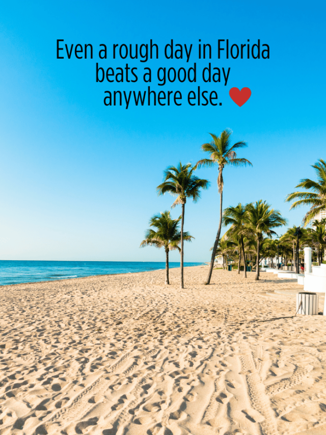 200+ Florida Captions & Quotes - StatusBuzz
