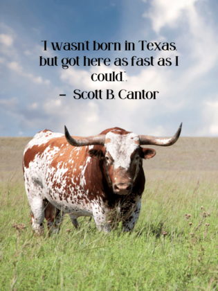 70+ Famous Texas Quotes & Sayings - StatusBuzz