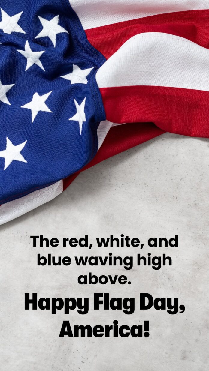 40+ Flag Day Quotes & Captions - StatusBuzz