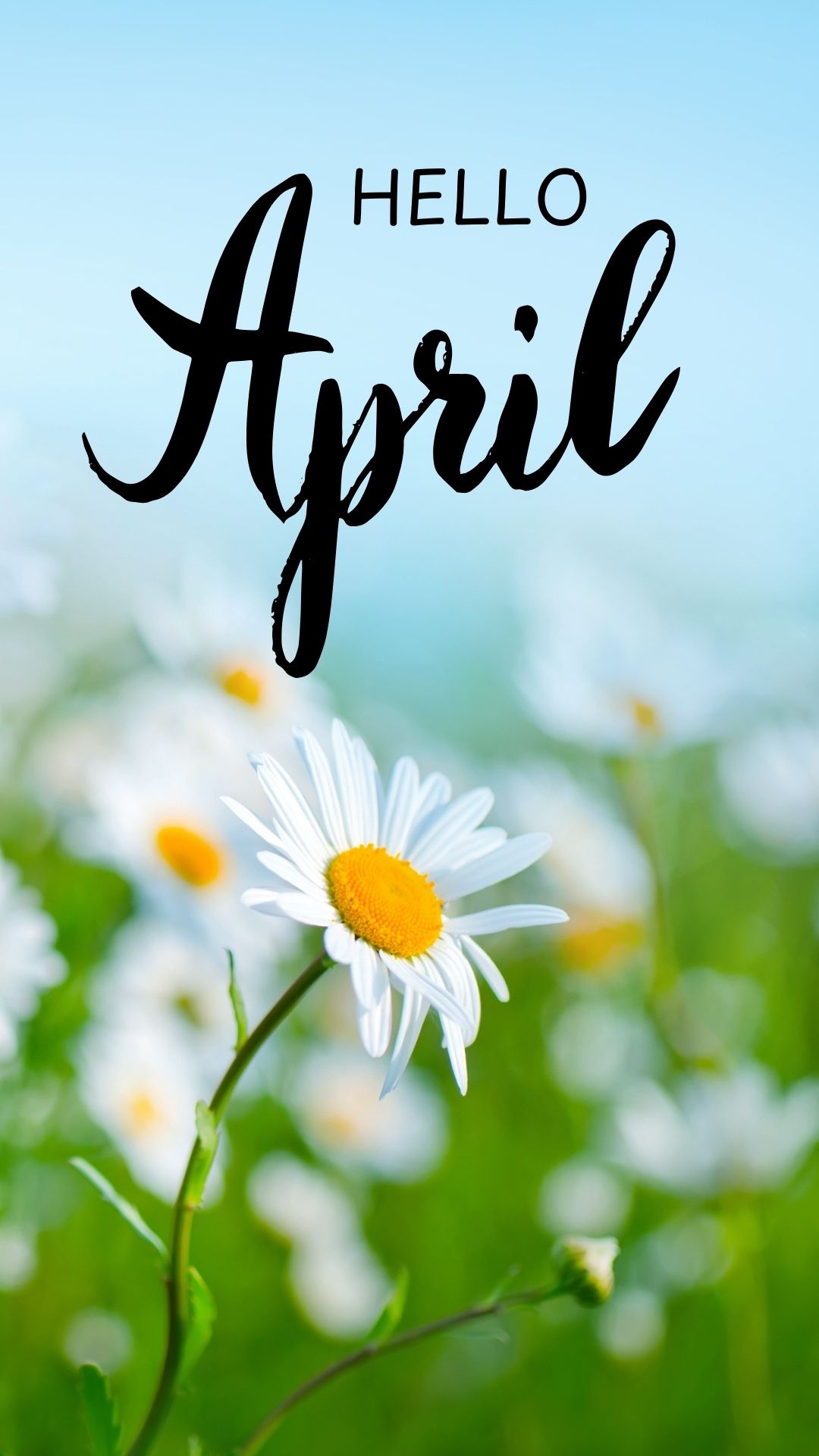30+ Aesthetic April Wallpapers For Mobile - StatusBuzz