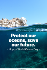 75+ World Ocean Day Quotes, Messages & Slogans - StatusBuzz