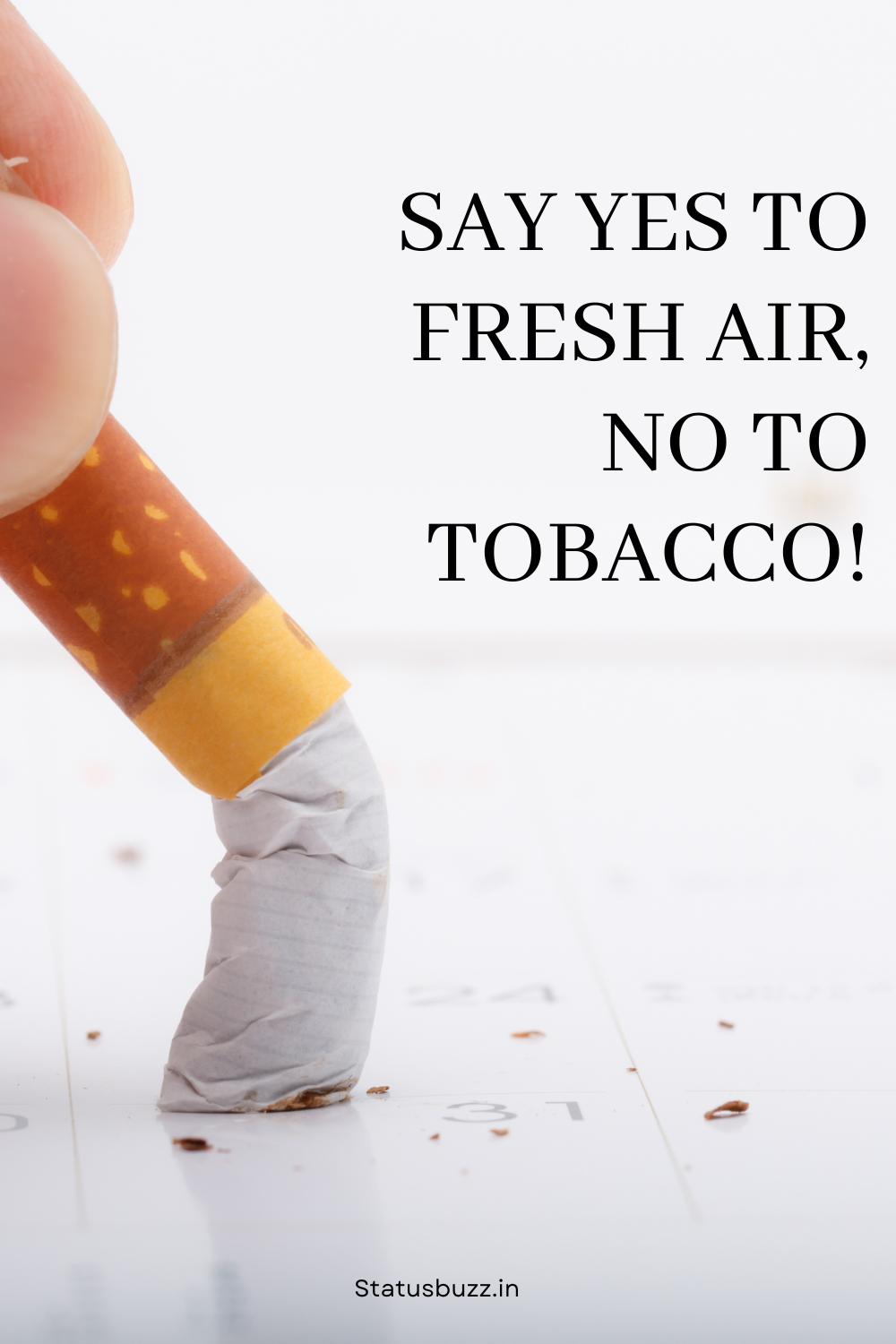 35+ World Tobacco Day Quotes & Slogans - StatusBuzz