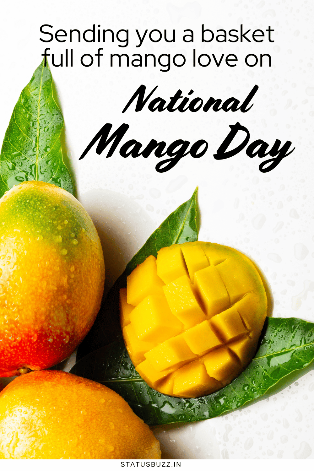 50 National Mango Day Messages & Captions - StatusBuzz
