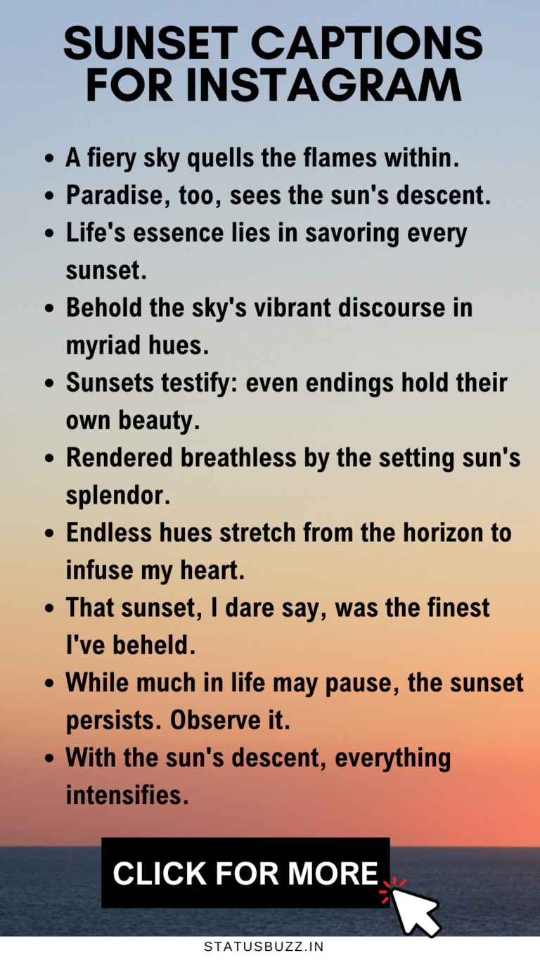 250 Beautiful Sunset Captions for Instagram - StatusBuzz