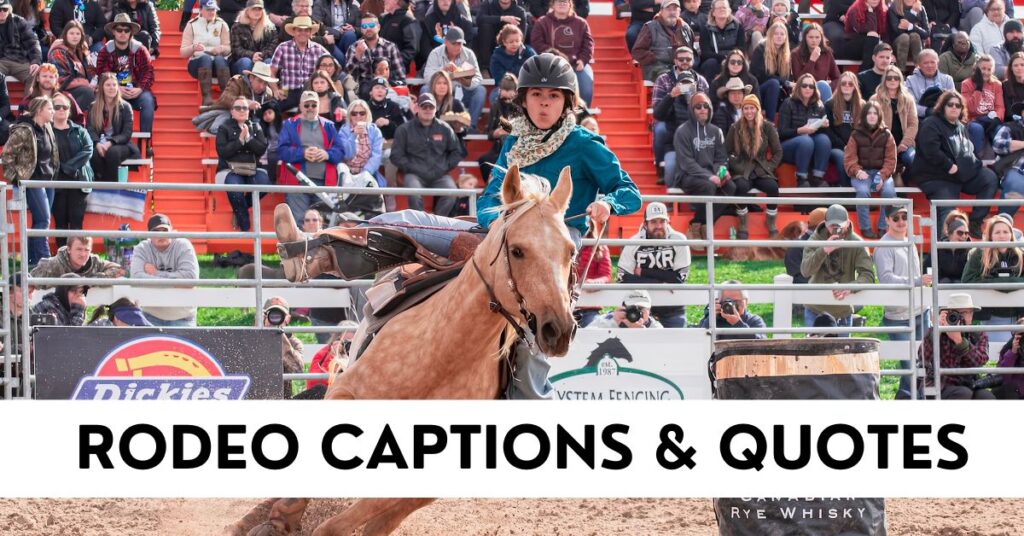 100+ Rodeo Captions & Quotes For Instagram - StatusBuzz