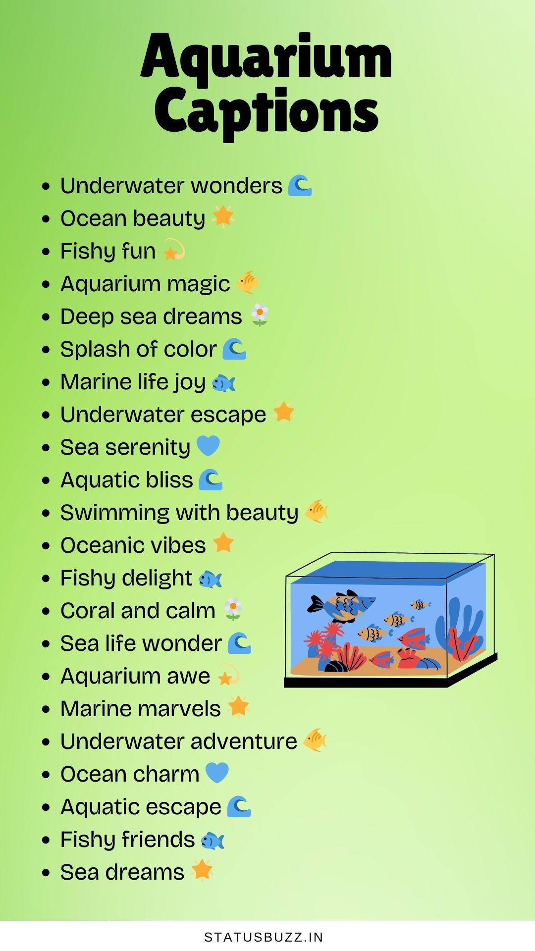 80+ Aquarium Captions & Quotes For Instagram - StatusBuzz