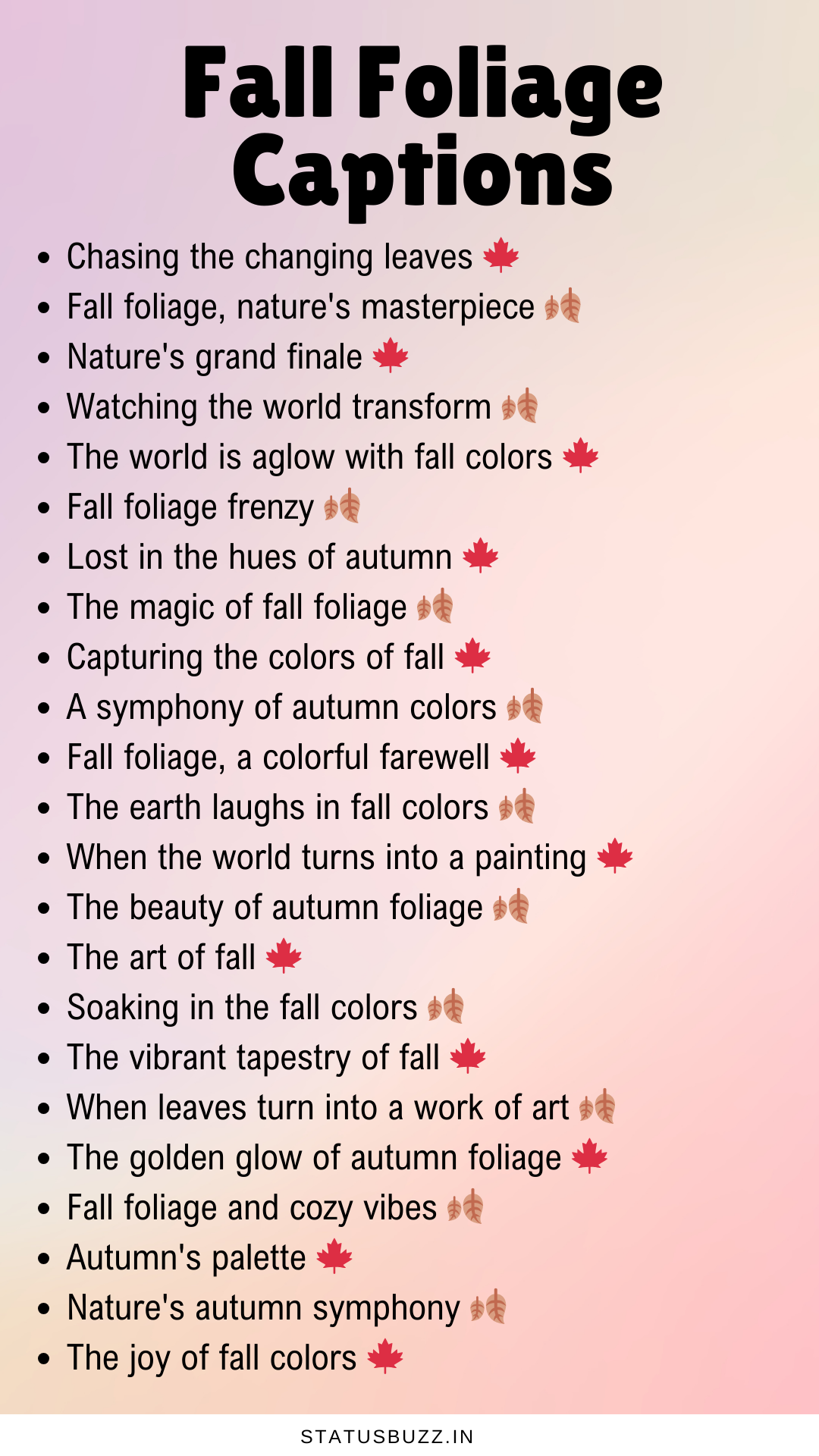 60+ Fall Foliage Captions, Saying & Quotes - StatusBuzz
