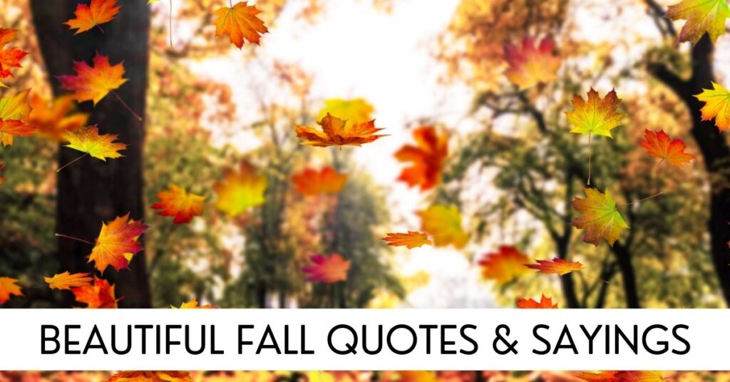 100 Beautiful Fall Quotes & Sayings - StatusBuzz