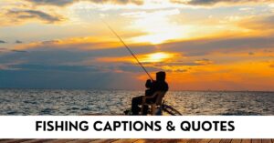 70+ Fishing Captions & Quotes For Instagram - StatusBuzz