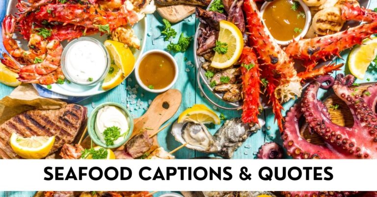 75+ Seafood Captions & Quotes For Instagram - StatusBuzz