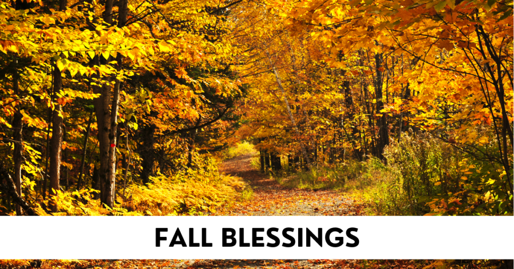 85+ Heartwarming Fall Blessings to Brighten Your Autumn Days - StatusBuzz