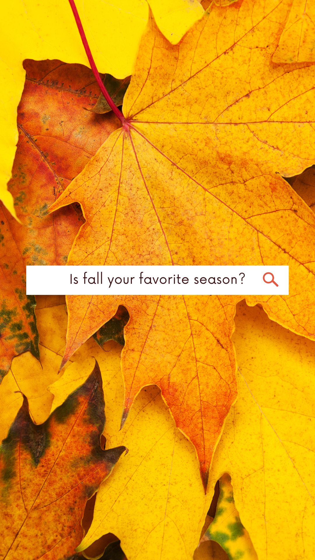 30 Stunning Fall Phone Wallpapers - StatusBuzz