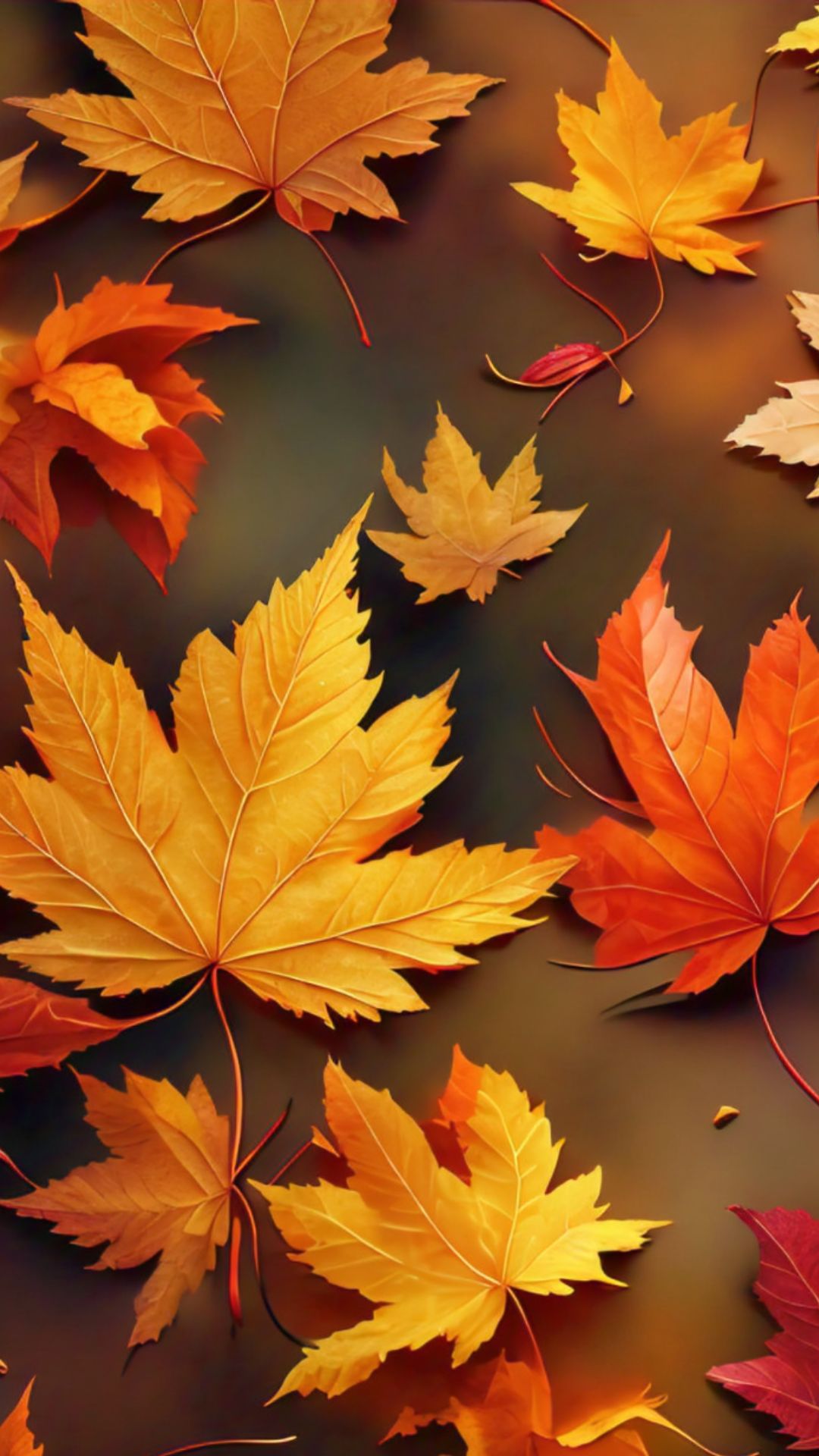 30 Stunning Fall Phone Wallpapers - StatusBuzz