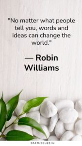 30 Best Quotes By Robin Williams - StatusBuzz