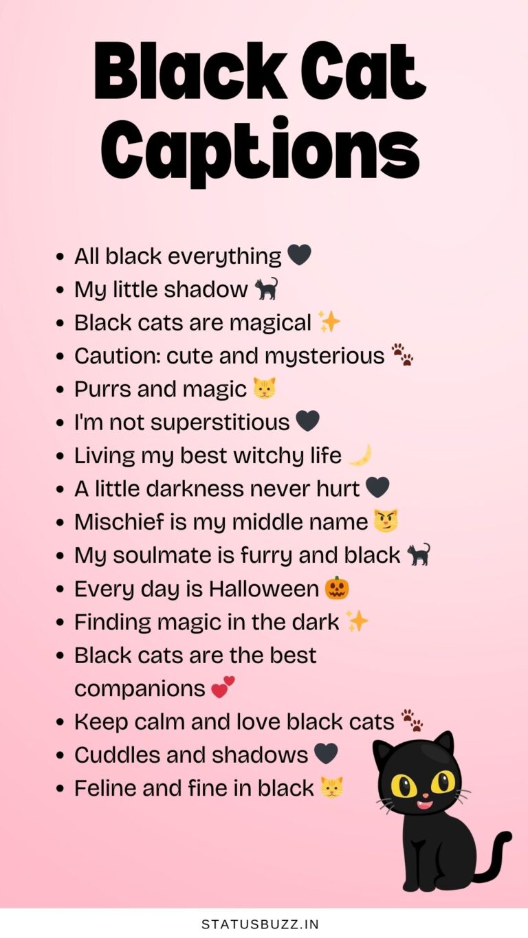 180+ Cat Captions & Quotes For Instagram - StatusBuzz