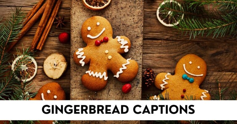 120+ Gingerbread Captions & Quotes For Instagram - StatusBuzz