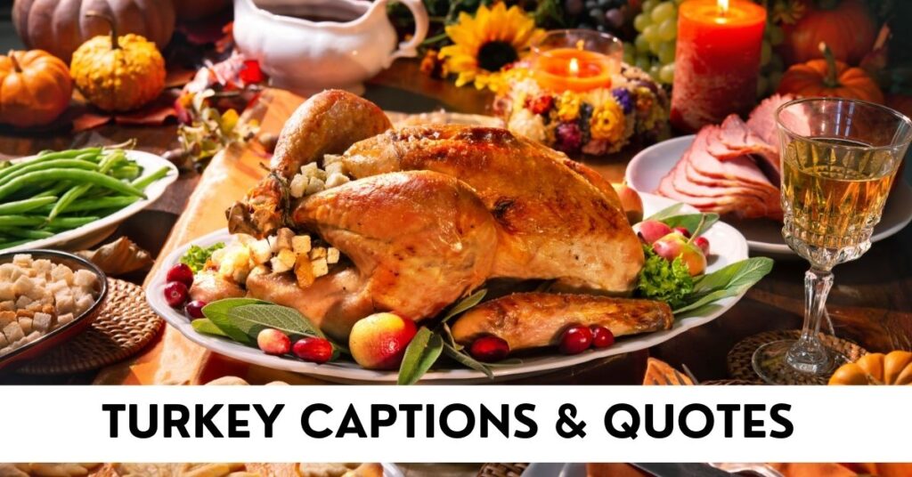 120+ Turkey Captions & Quotes For Thanksgiving - StatusBuzz
