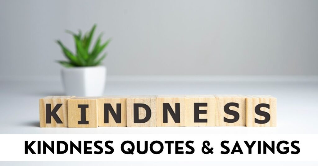 80+ Inspiring Kindness Quotes & Sayings for a Better World - StatusBuzz