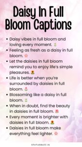 120+ Daisy Captions & Quotes For Instagram - StatusBuzz