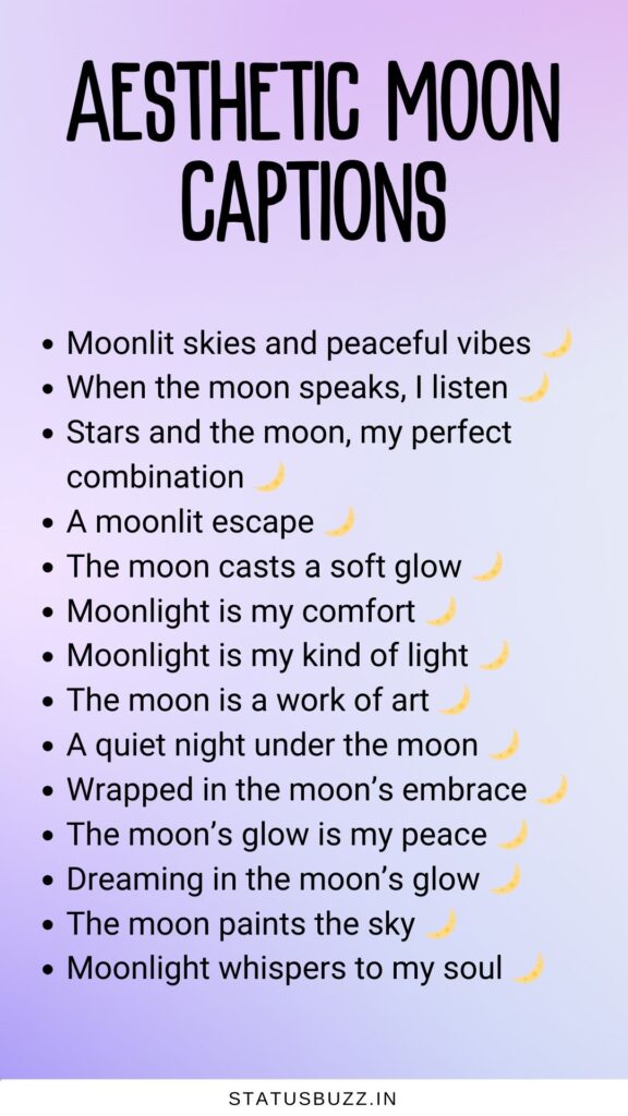 260+ Moon Captions, Quotes & Puns - StatusBuzz