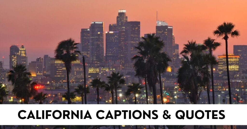 160+ California Captions & Quotes For Instagram - StatusBuzz