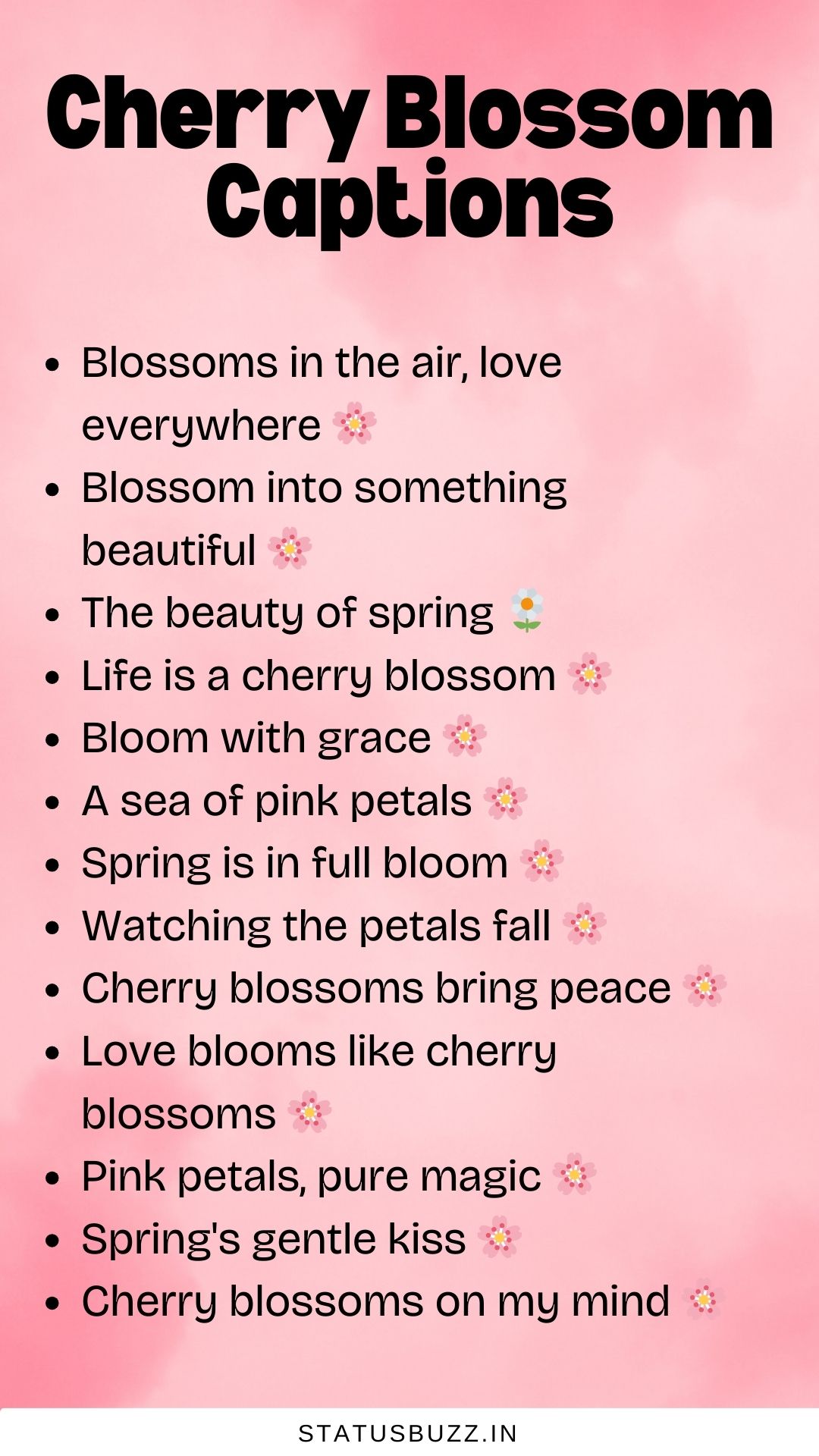 90+ Cherry Blossom Captions & Quotes For Instagram - StatusBuzz
