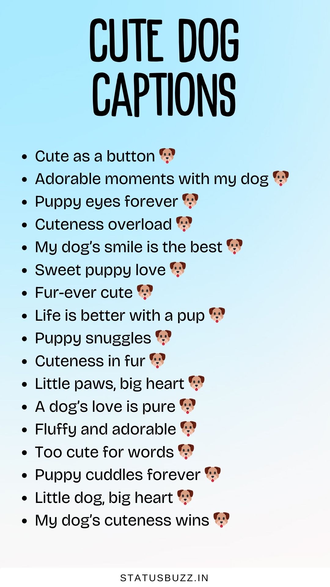 175+ Dog Captions & Quotes For Instagram - StatusBuzz