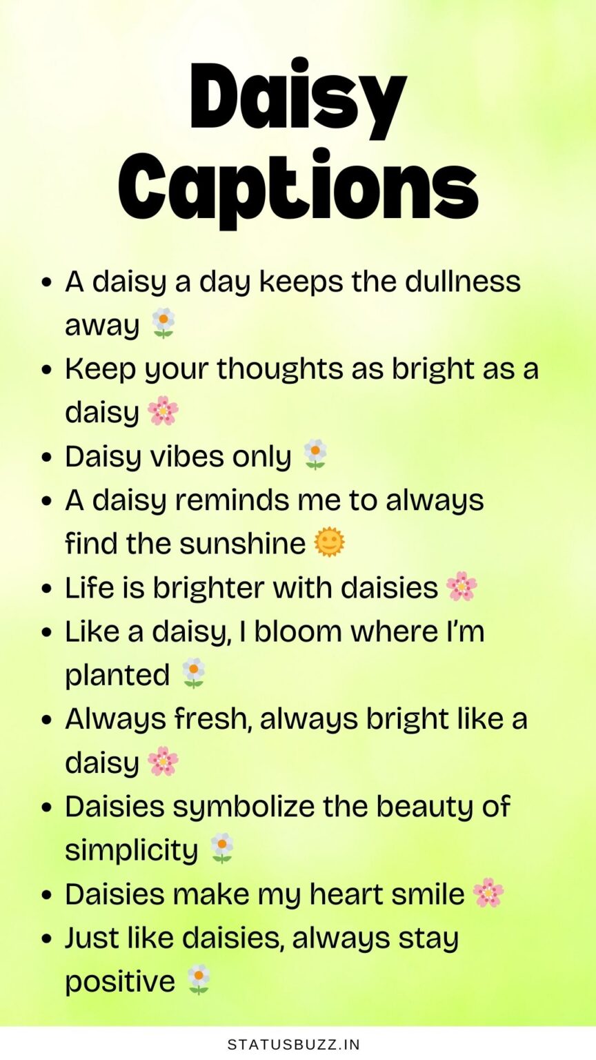 120+ Daisy Captions & Quotes For Instagram - StatusBuzz