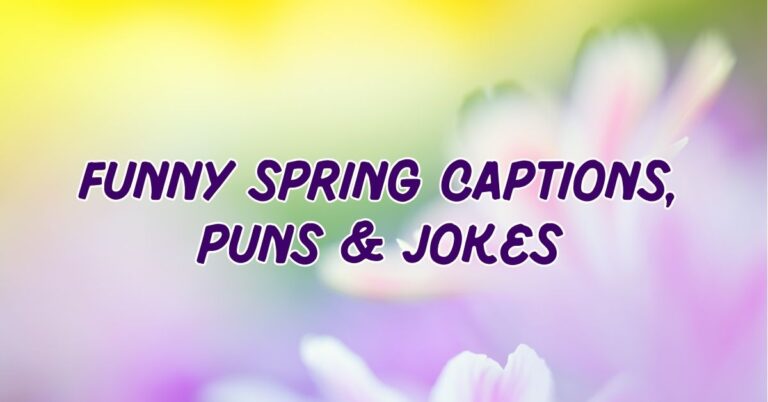 120+ Funny Spring Captions, Puns & Jokes - StatusBuzz